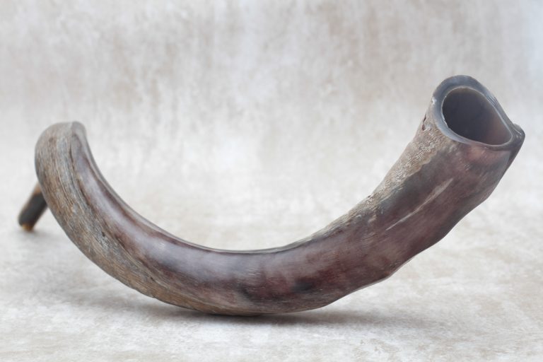 The Current Year Since Creation, and When the Shabbath and Yovel Years ...